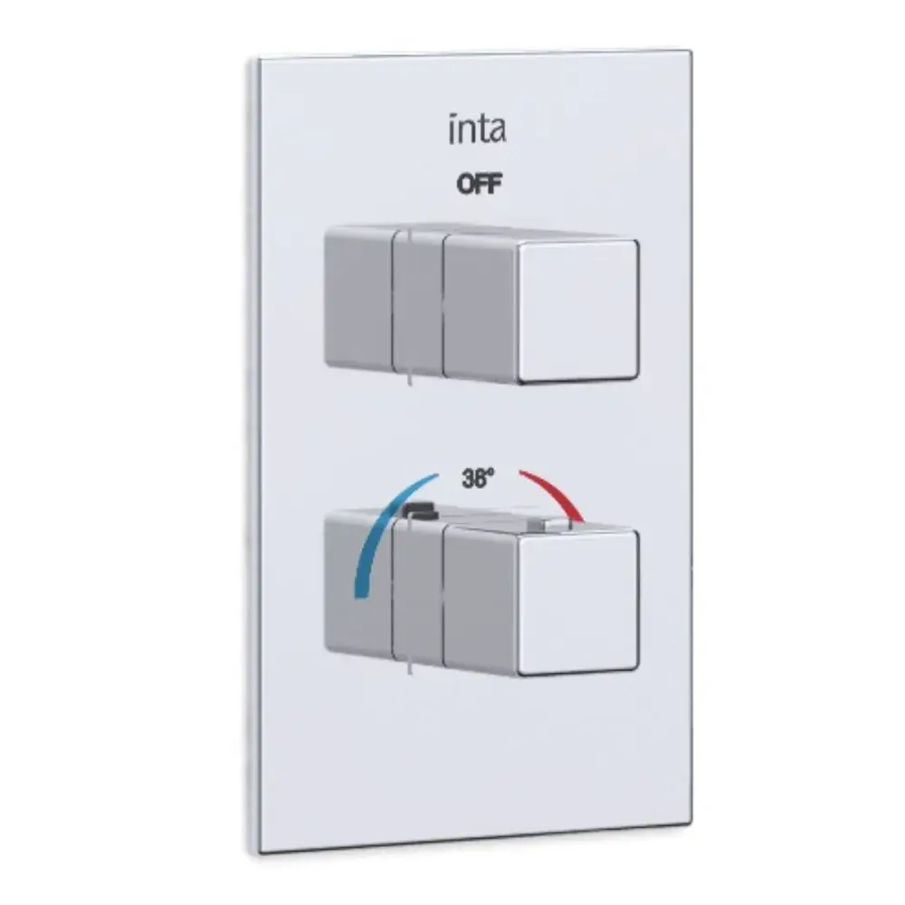 Mio Concealed Dual Outlet Thermostatic Shower with Overhead Soaker and ...