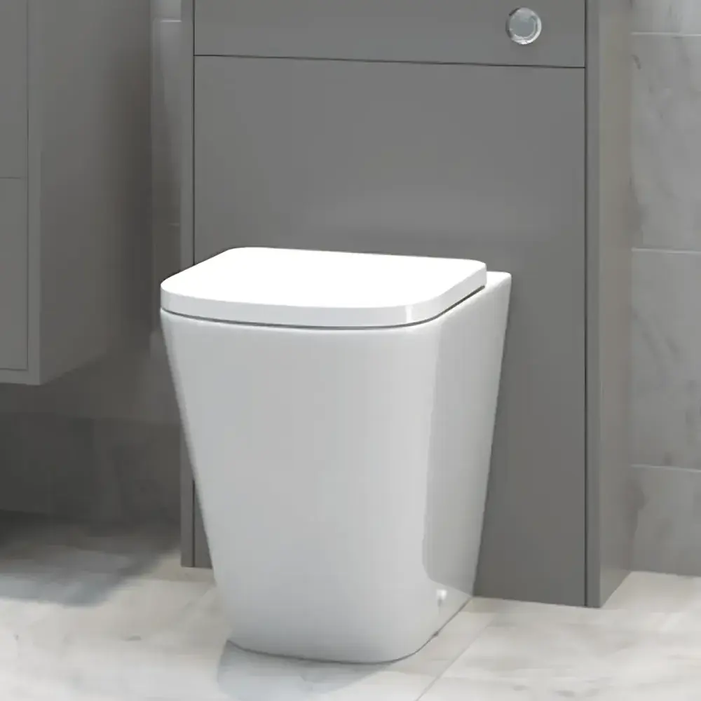 Vegar Rimless Back To Wall Short Projection Toilet and Soft Close Seat