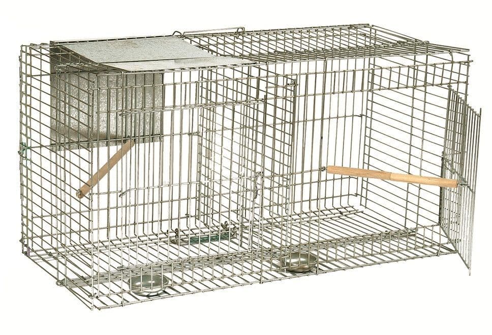 Larsen Cage Trap - Dog Goodies