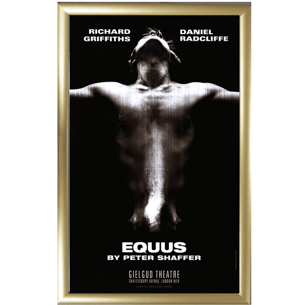 Equus Play Poster Intrepidus Theatre Lab Equus Overview And