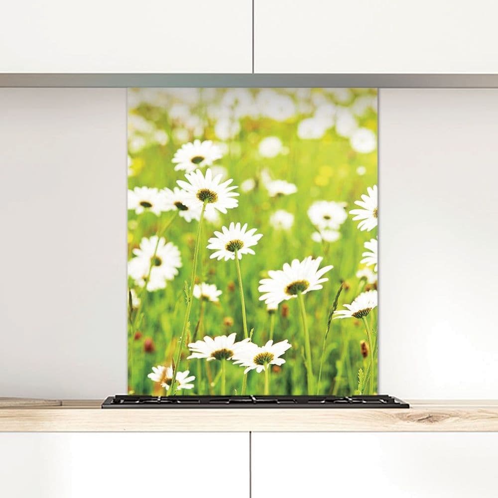 Ox Eye Daisies I - Glass Splashback