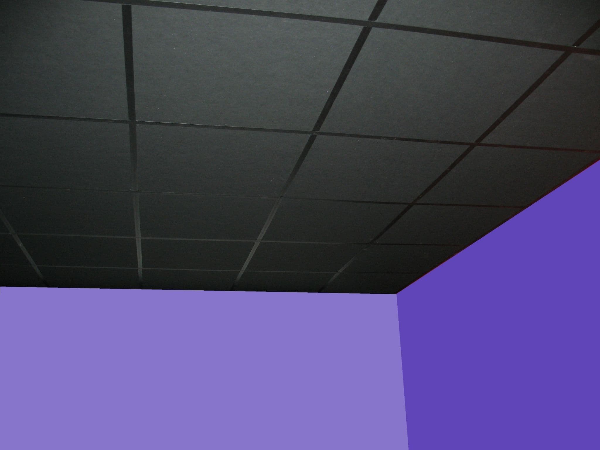 Black Ceiling Grid Elevate EasyCare Black Ceiling Tiles | 600x600mm