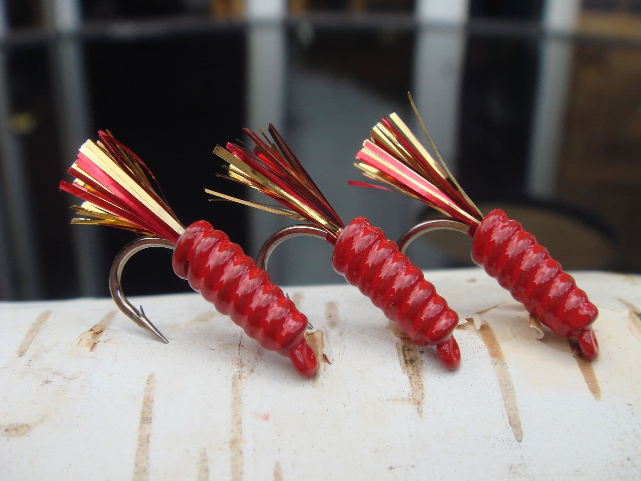 Luke s Favourite Red and Golden Perch Tailed Gater Bug