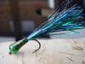 Martyn s Deadly Blue/Green and Ultra Violet Damsel Stalking Bug