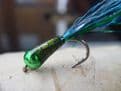 Martyn s Deadly Blue/Green and Ultra Violet Damsel Stalking Bug