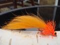 Martyn s Ultimate Hot Orange Leech