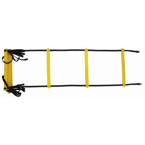 Evolution 4 Meter Ladder