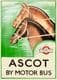 Ascot by Motor Bus Horses