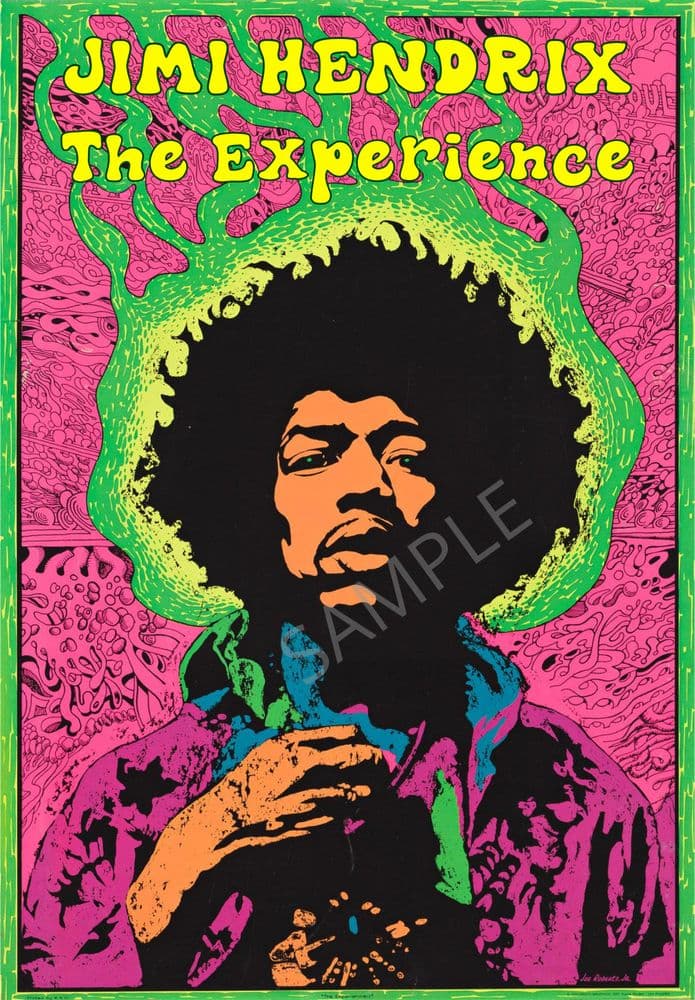 Jimi Hendrix the Experience