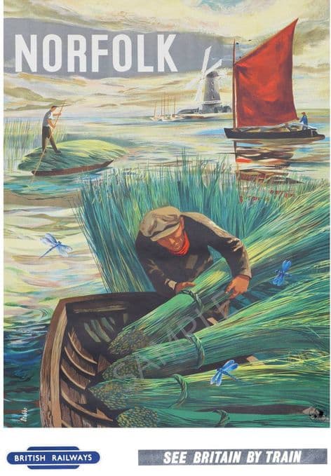 Norfolk British Rail reed cutting