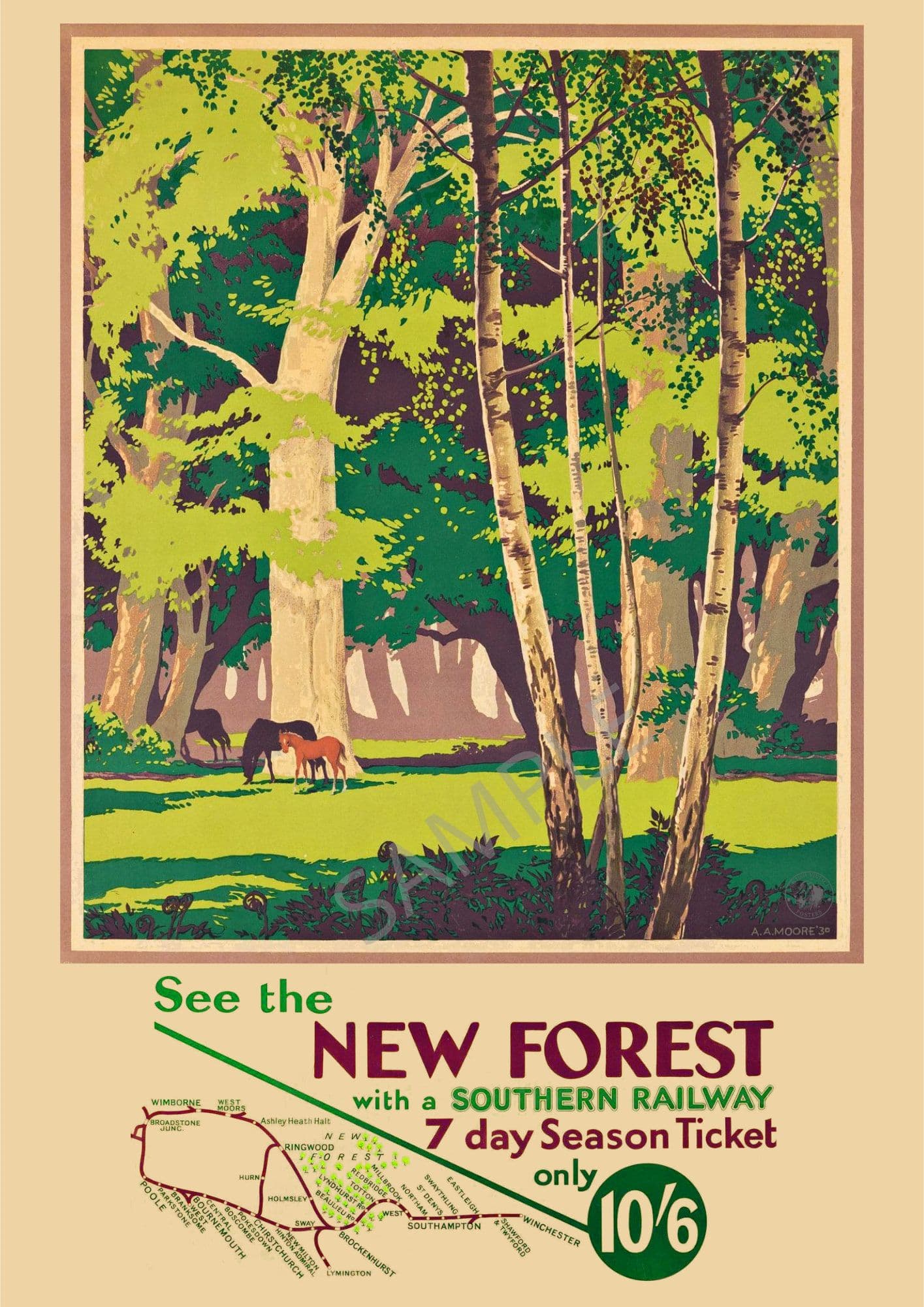 The New Forest Southern Railway