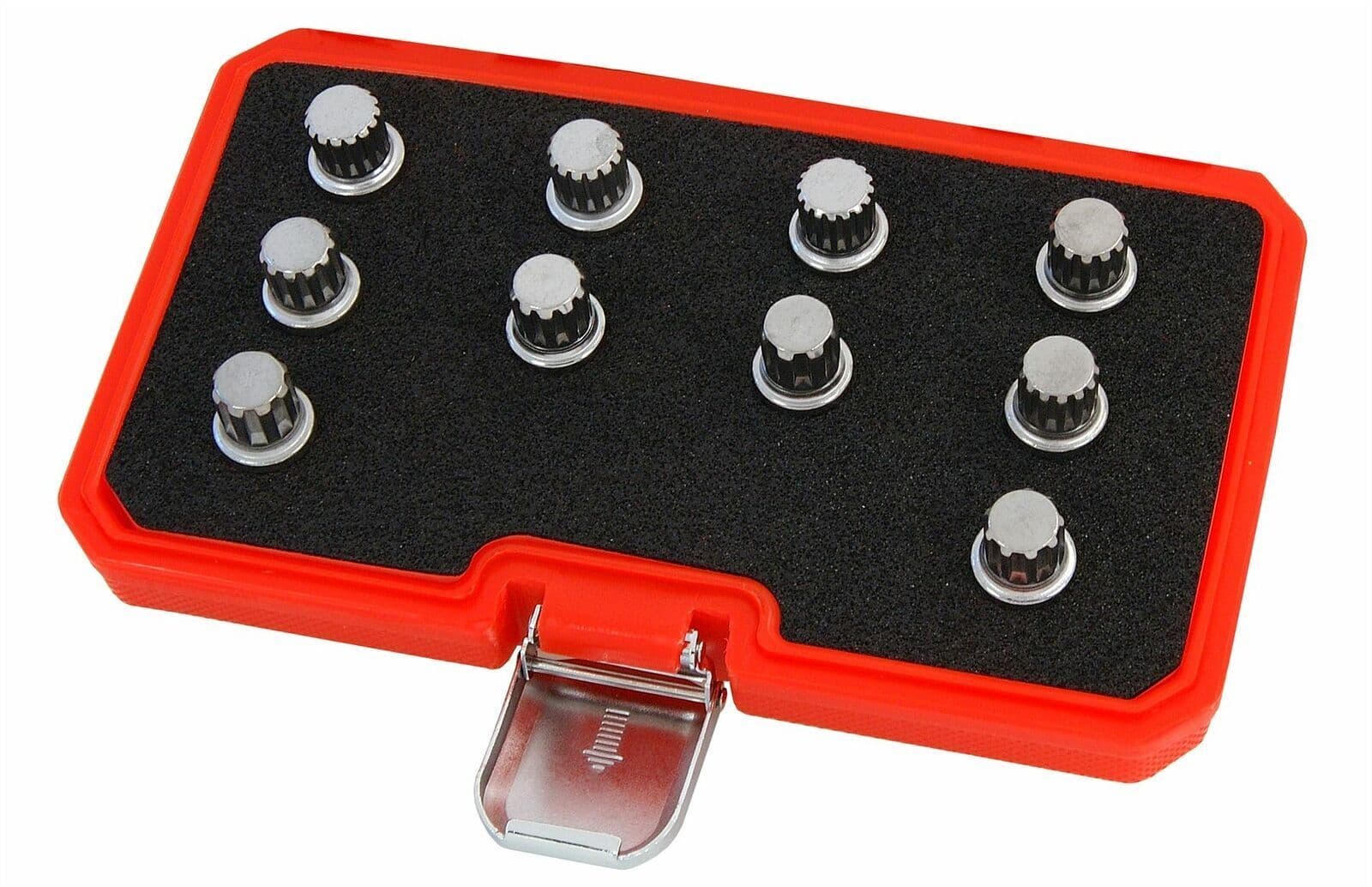 10Pc Bmw Locking Wheel Nut Key Socket Set Multi-Ribe Bits