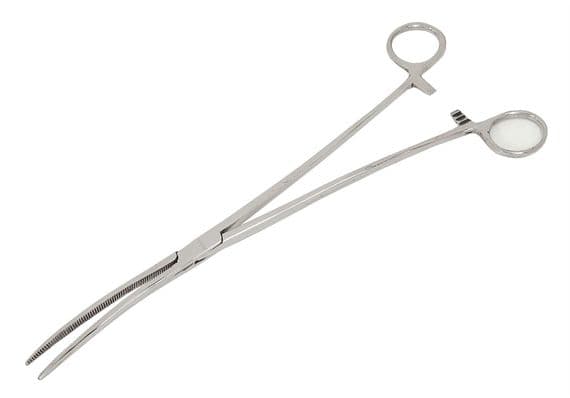 12" 250mm Curved Fishing Forceps Stainless Steel
