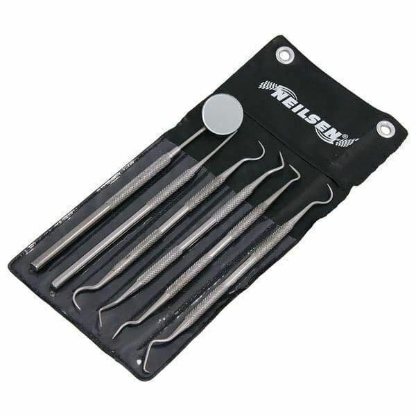 Stainless Steel Dental Tool Kit 6Pc