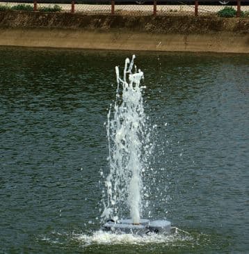 Floating Tree Water Feature Pump