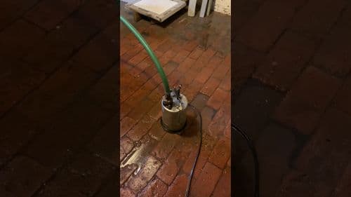 Puddlepal 2 Inch Puddle Pump