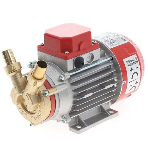 Rover Marina 25 Low Voltage Reversing Pump