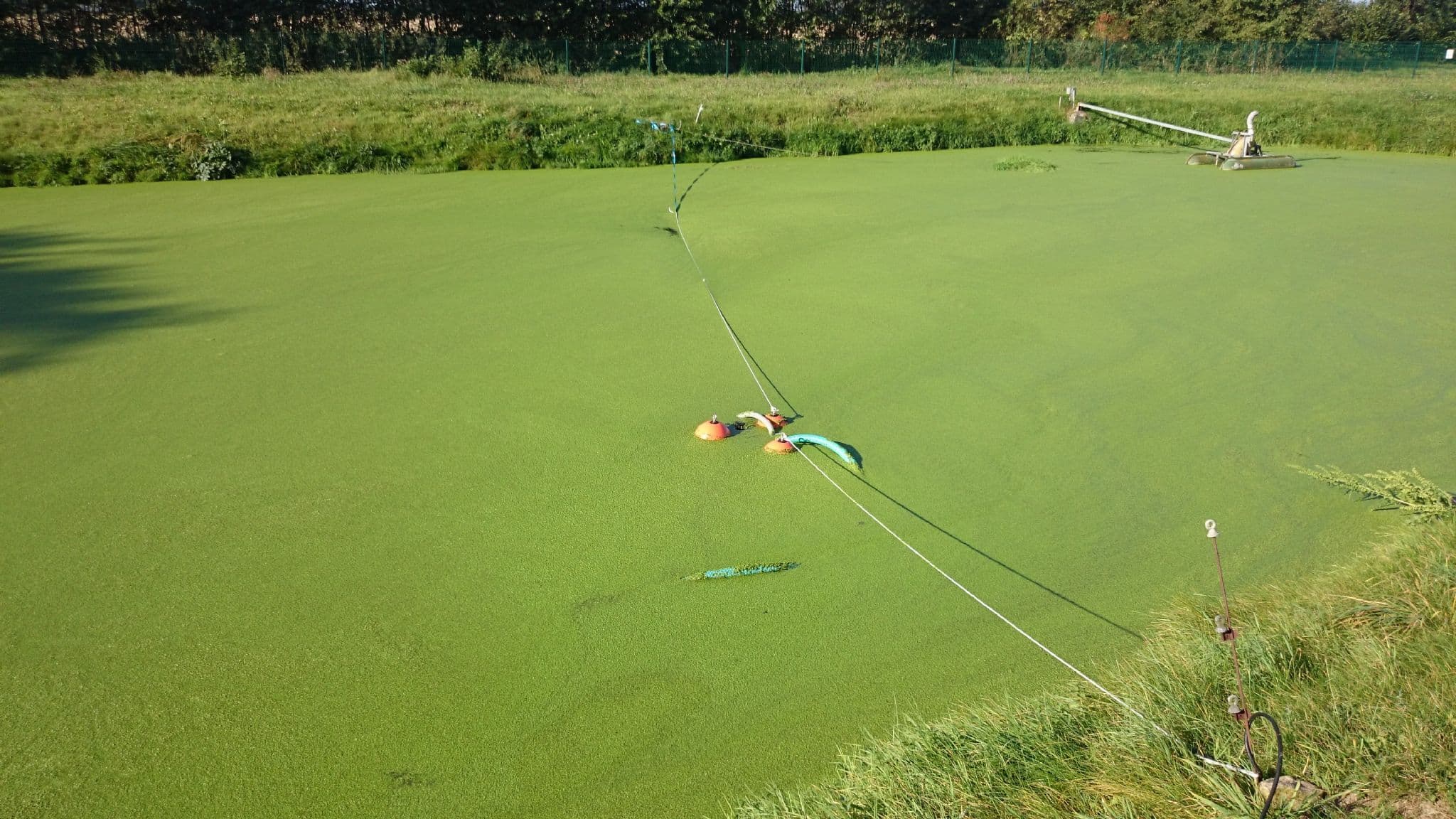 Tsurumi Floating Scum Skimmer