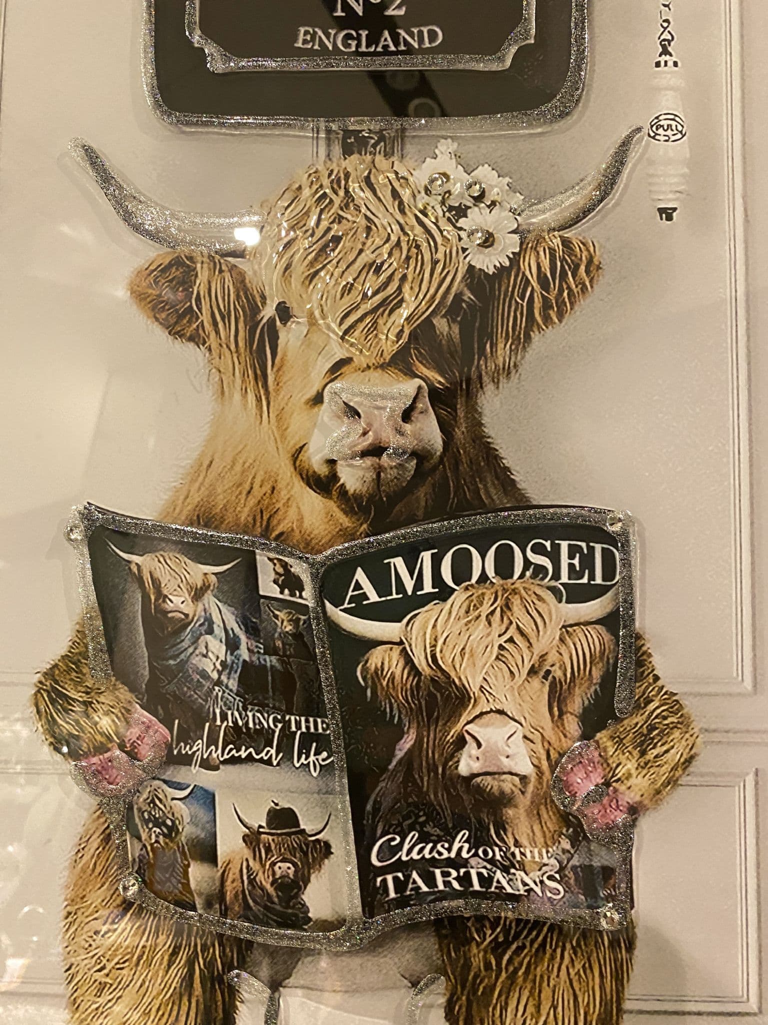 Highlander Sitting Reading Wall Art Mirror Frame 55Cm X 65Cm