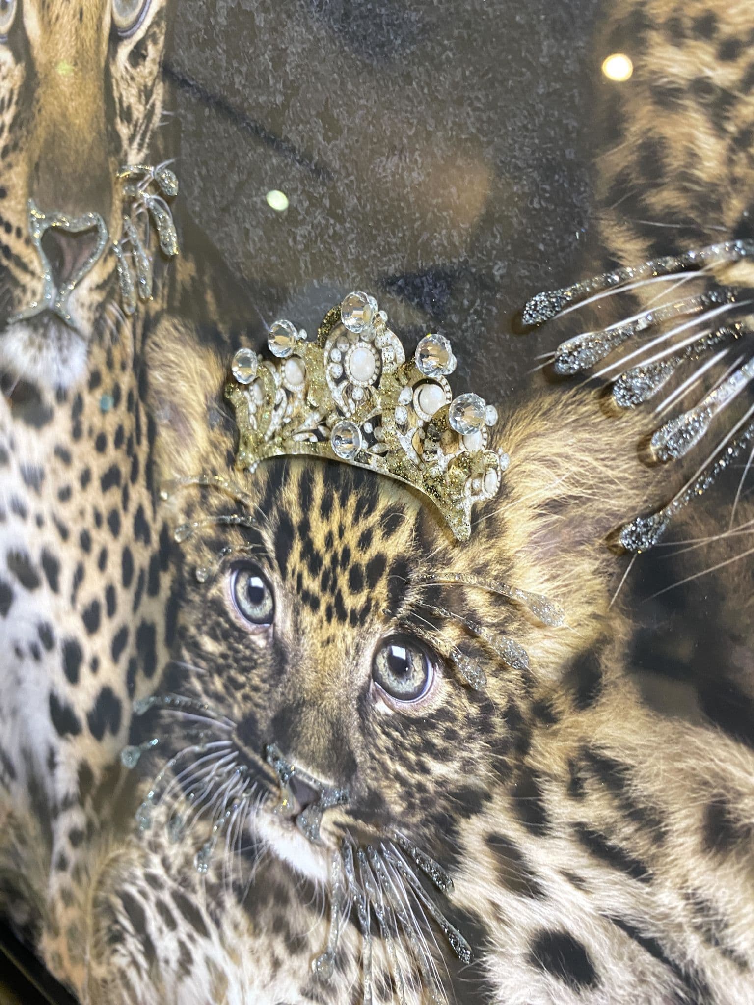 Leopard Family Of 3 With Crowns Wall Art Alpha Black Frame 55Cm X 55Cm