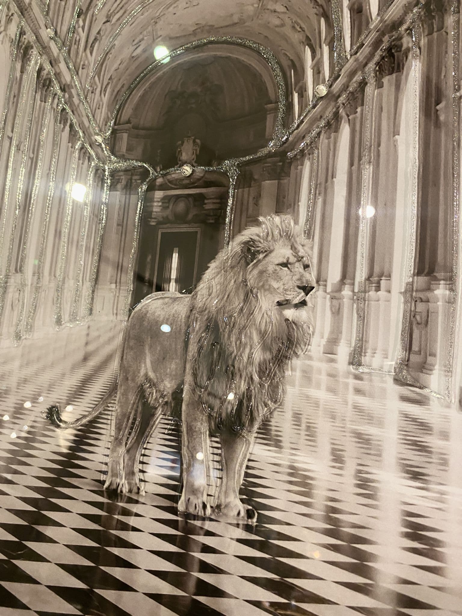 Lion Gallery Wall Art Mirror Frame