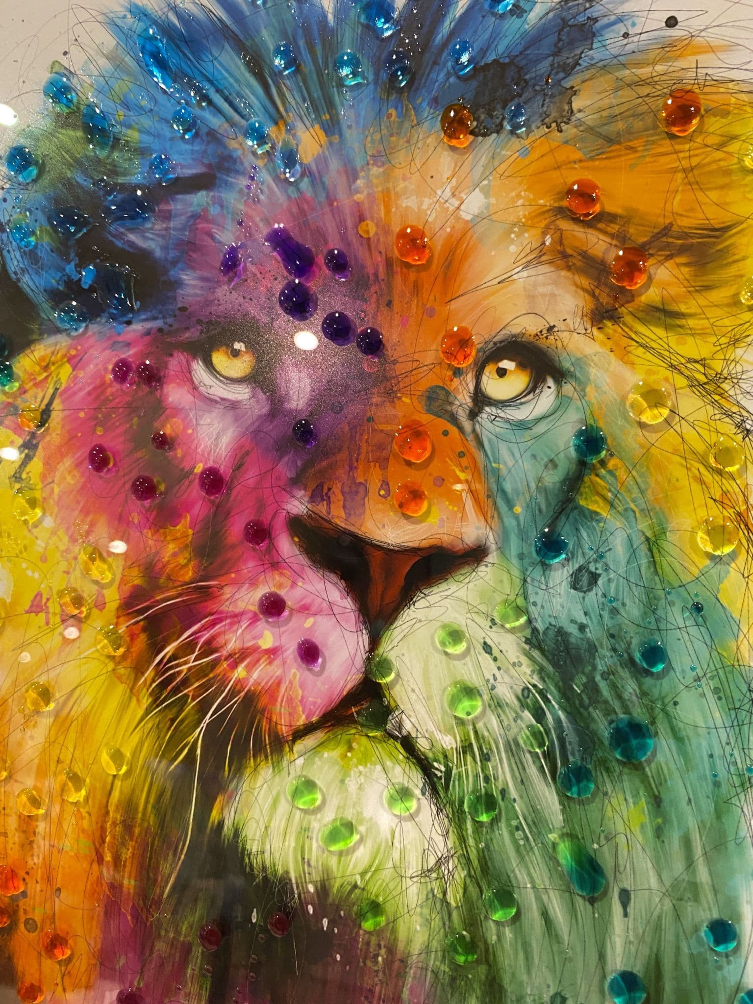 Lion Multicolor Wall Art White Step Frame