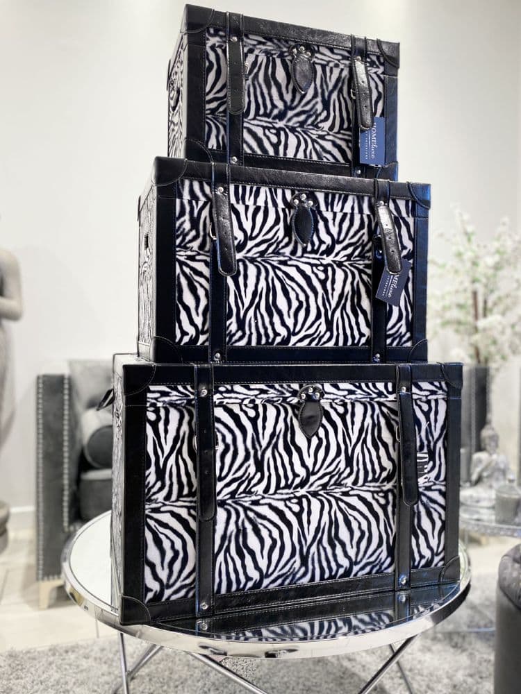 Set Of 3 Zebra Animal Print Storage Trunks