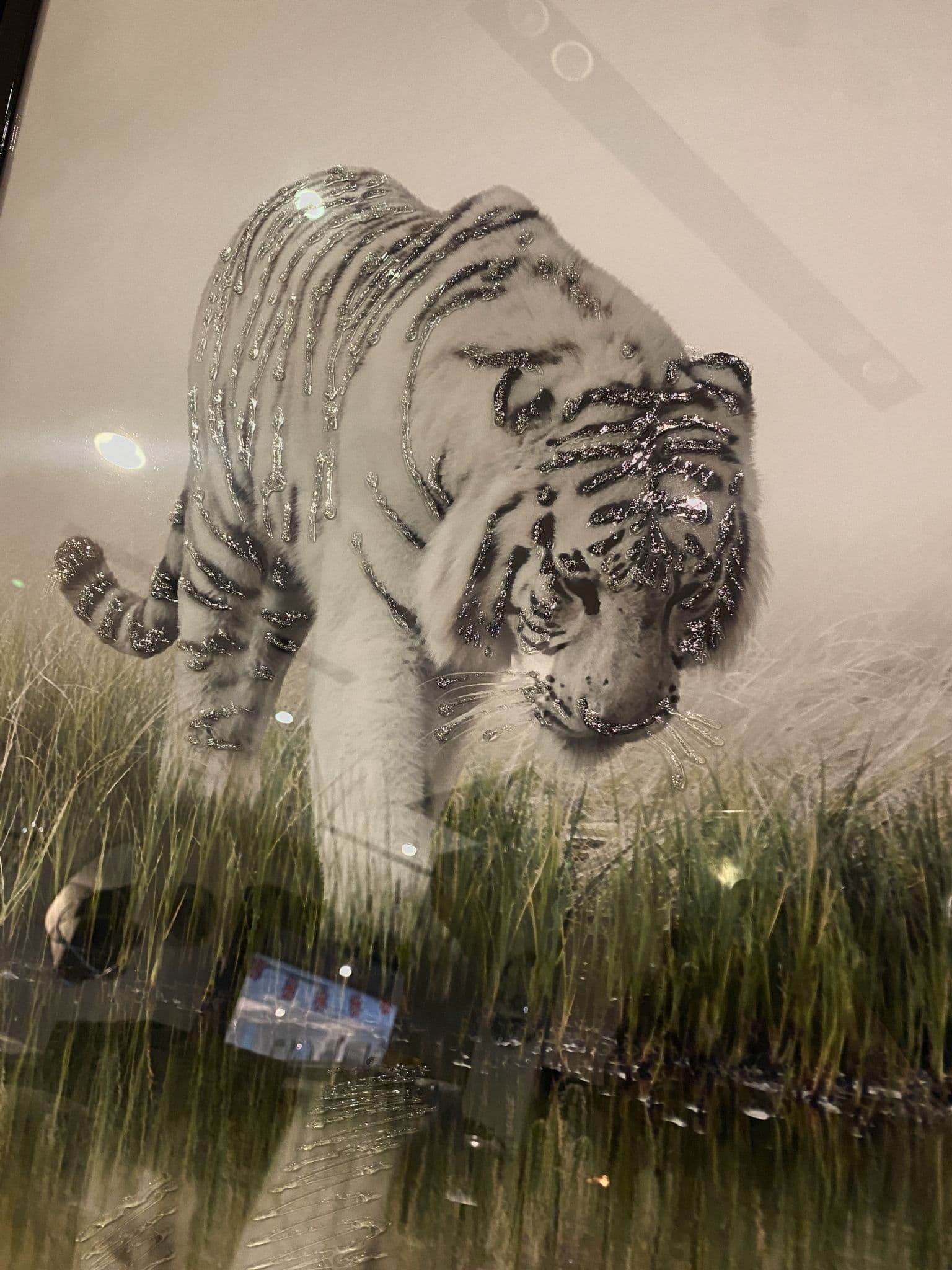 White Tiger Step Wall Art Black Step Frame 85Cm X 85Cm