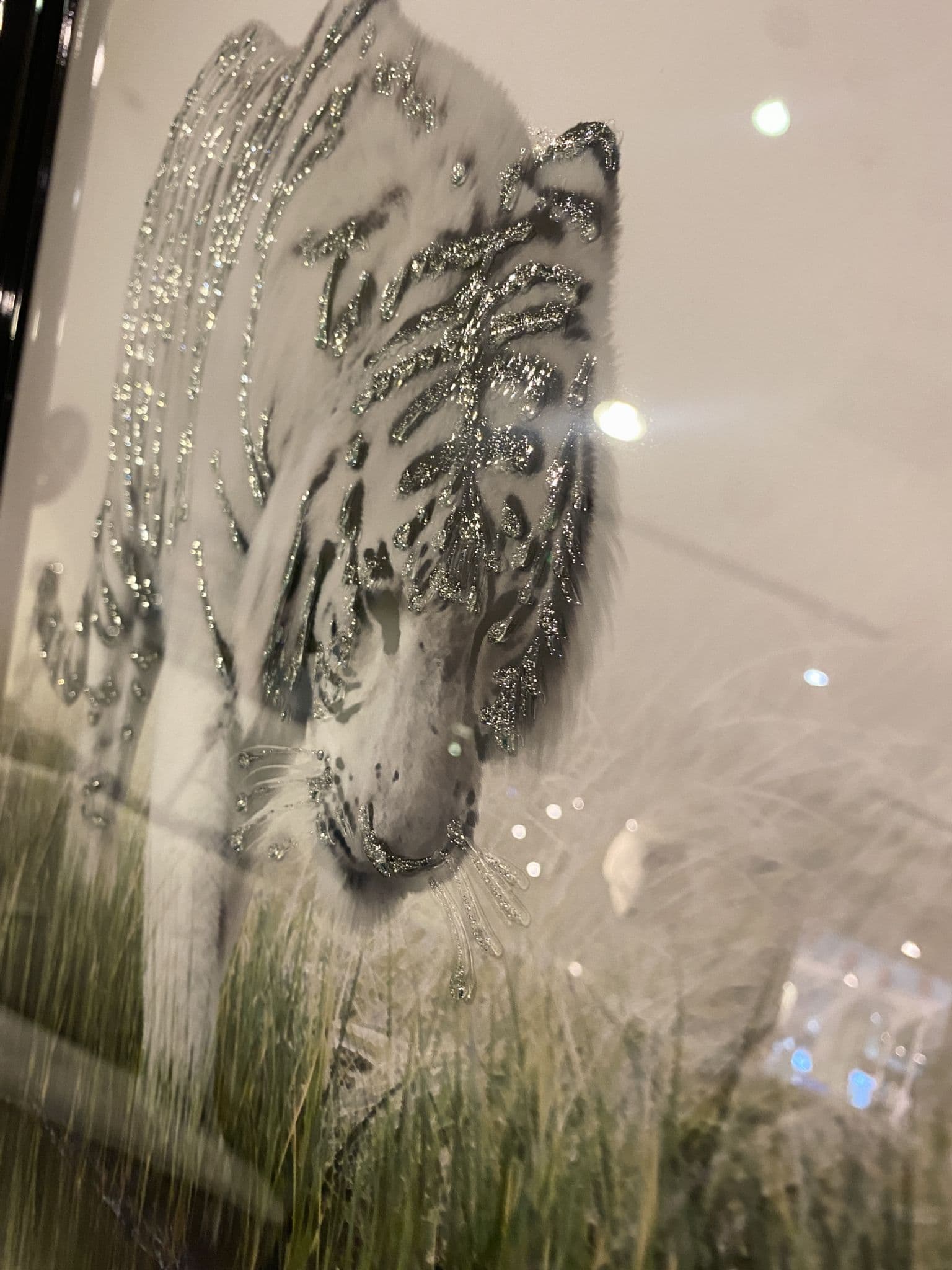 White Tiger Step Wall Art Black Step Frame 85Cm X 85Cm