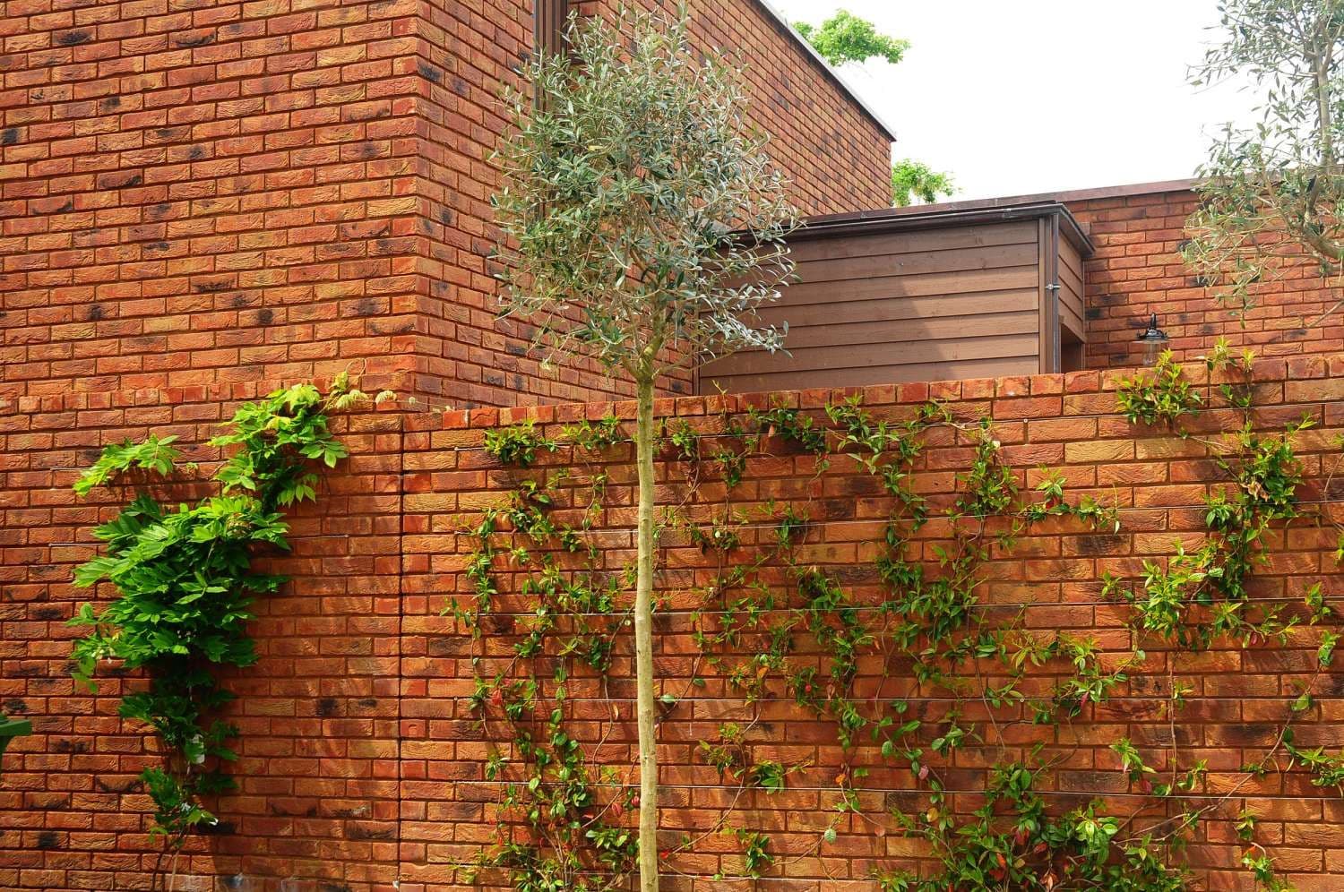 Ibstock Ivanhoe Katrina Multi Brick A0059A