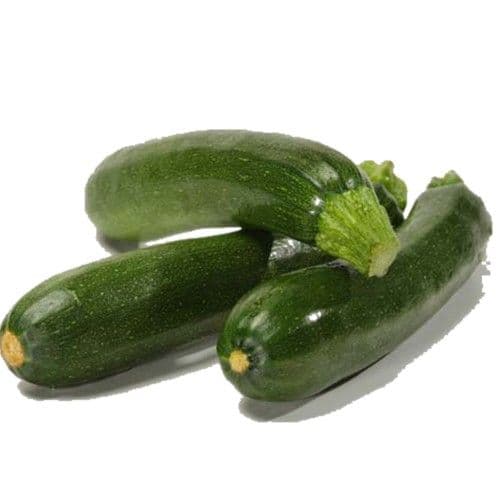 Plant de courgette ASTIA longue verte et lisse