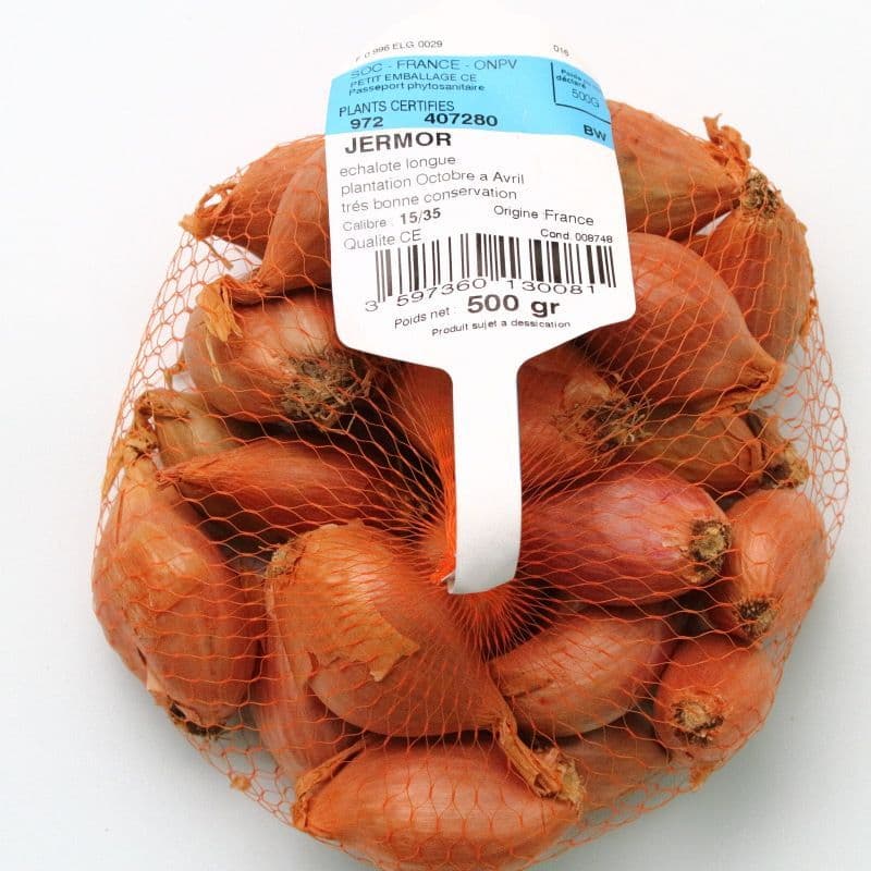 Echalote trois variétés