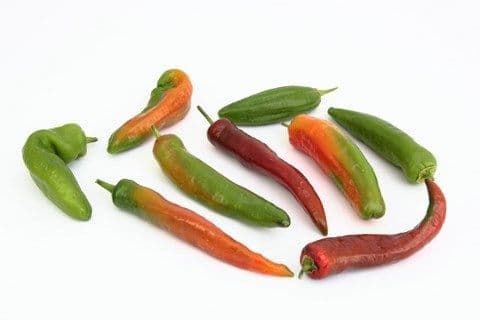 POIVRON SPADI doux long classique