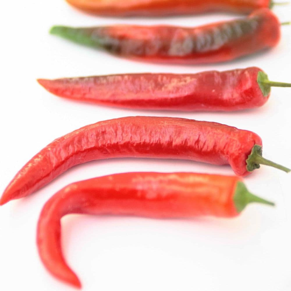 Le poivron long rouge CONORED