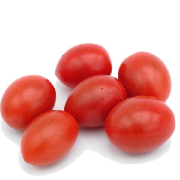 TOMATE TRILLY F1 type mini San Marzano rouge appéritive