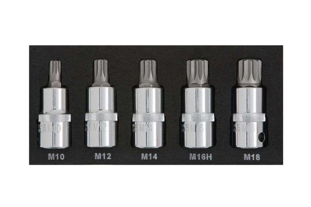 Blue Spot 01509 Spline Bit Set M10-M18 5 Piece Set 1/2 D