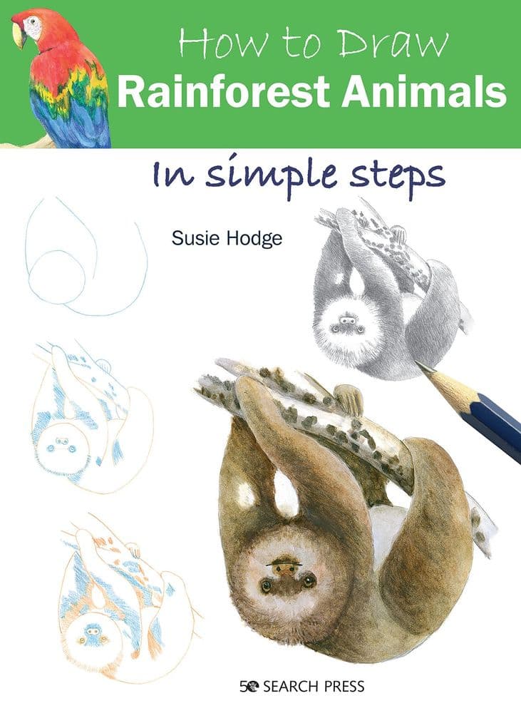 How to Draw Rainforest Animals