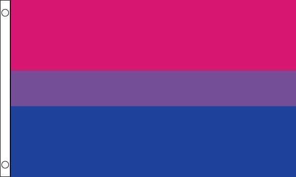 Bi-Pride Flag | flagly.co.uk | We Sell Flags and Bunting