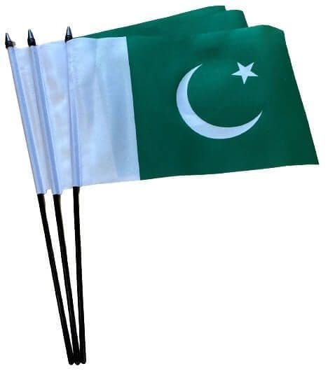 Pakistan Hand Flag - 3 Pack | flagly.co.uk | We Sell Flags