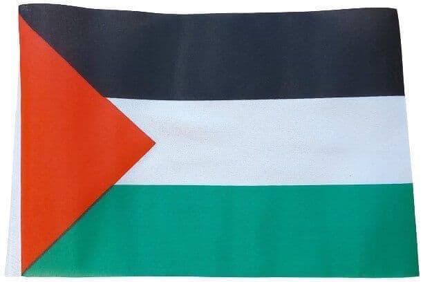 Palestine MINI Flag | flagly.co.uk | We Sell Flags