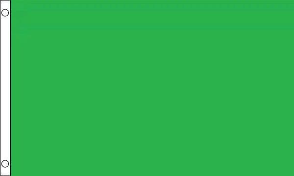 Plain Green Flag | flagly.co.uk | We Sell Flags and Bunting