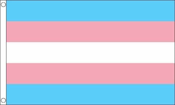 Transgender Flag | flagly.co.uk | We Sell Flags and Bunting
