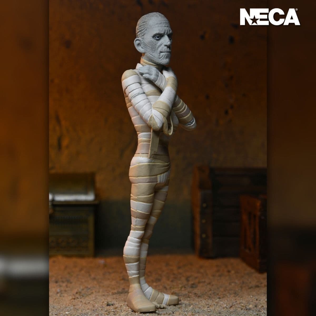 NECA Toony Terrors Series 10 Universal Monsters Set Mummy Dracula Wolf ...
