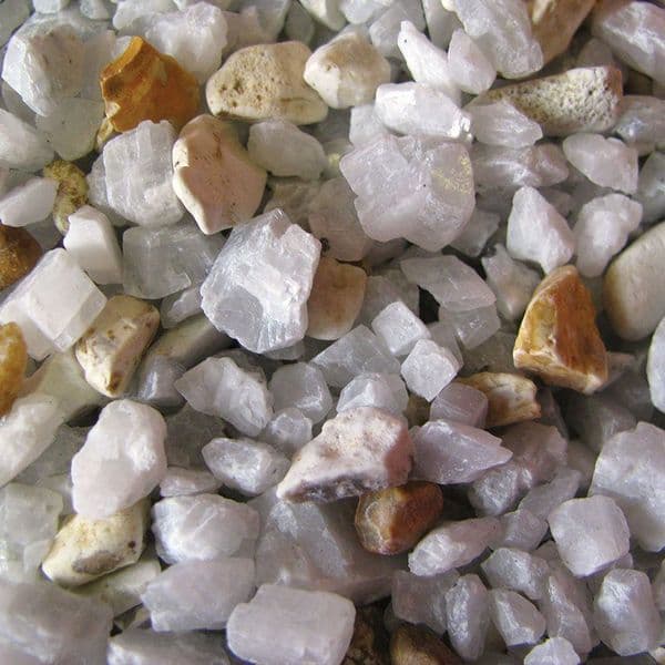 Nordic Champagne Harling Chips