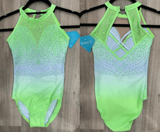 Pear Drop Leotard