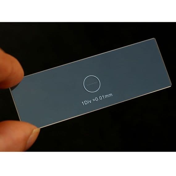 5mm/500 Divisions Calibration Slide Glass