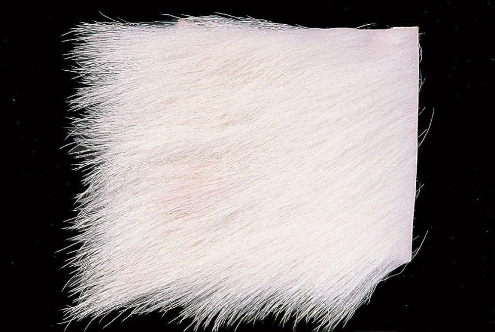 Calf Body Hair
