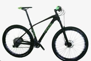 HINDE 2021 CARBON STEALTH 29er - SHIMANO XT 8100 1 X 12 SPD - FOX 34 ...