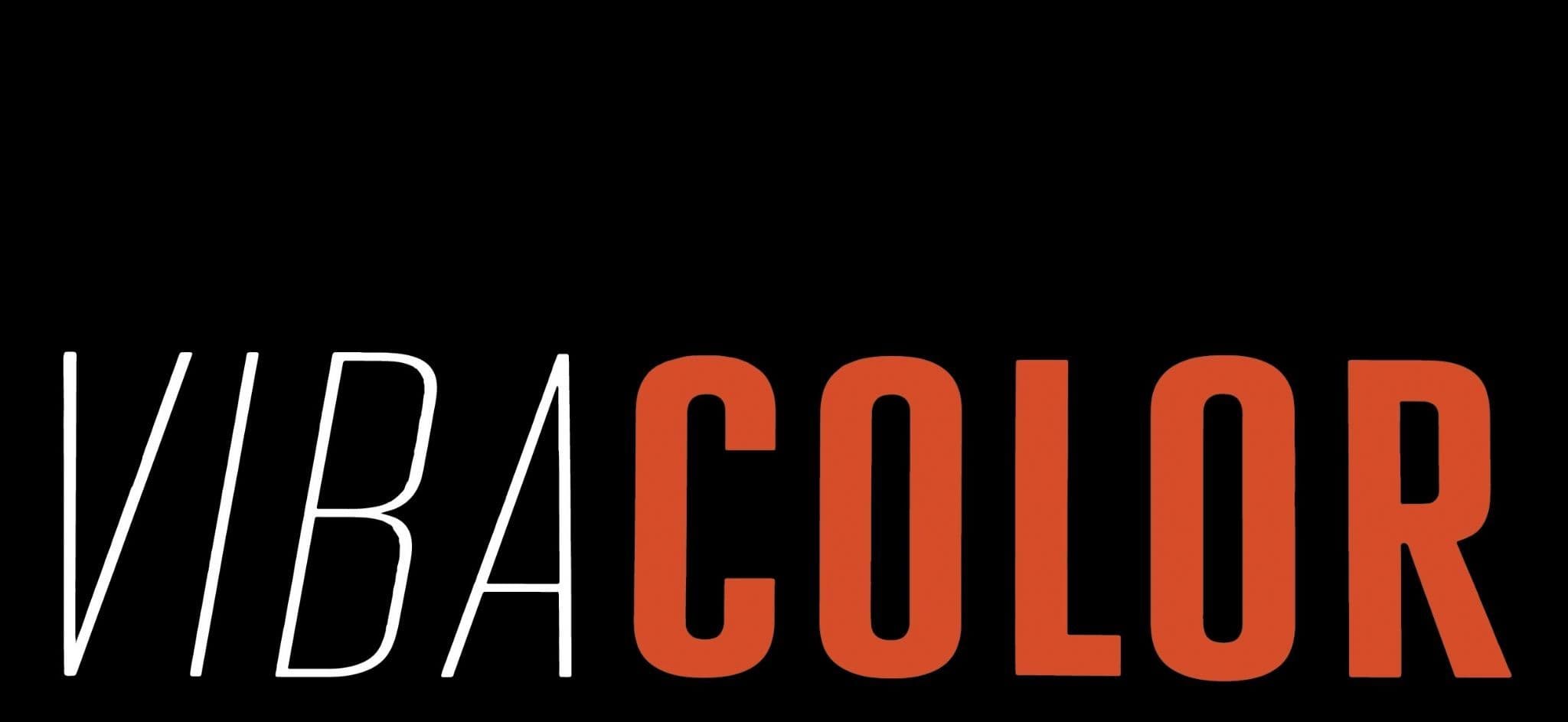 Viba Professional Color Chart