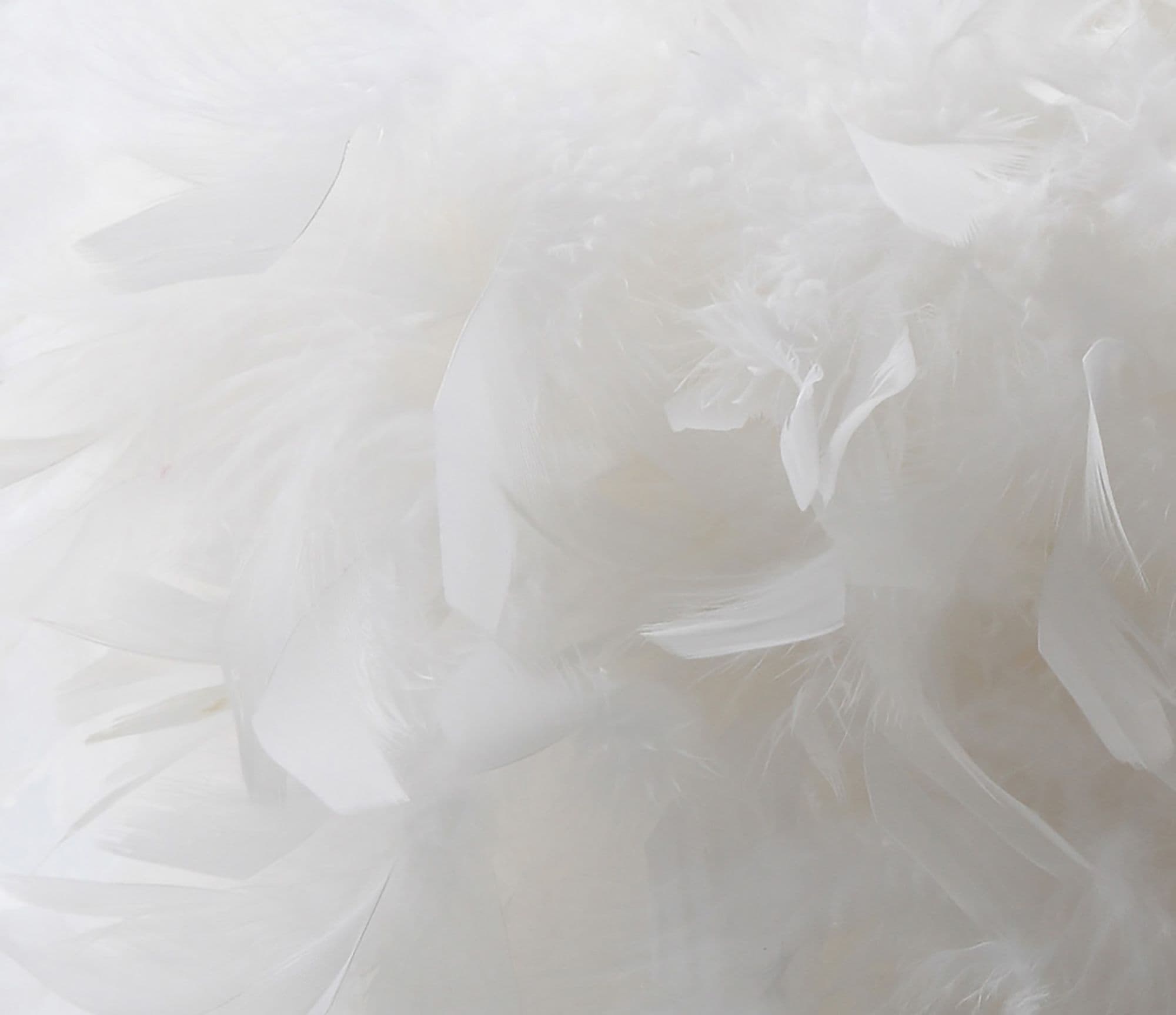 Anson Feather Shade White 410mm x 230mm